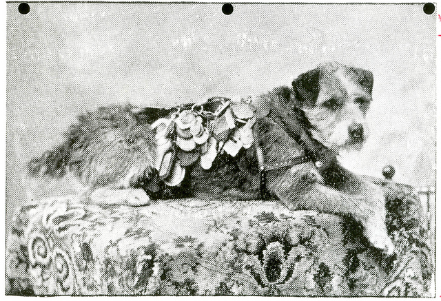 Owney photo – Amqui Station and Visitors Center – Madison, TN